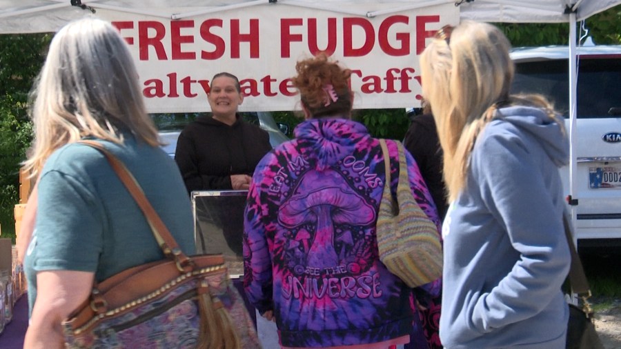 Turtle Town Market returns to Churubusco