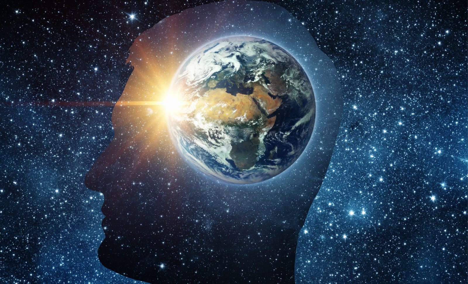 What If Earth Developed a Brain?