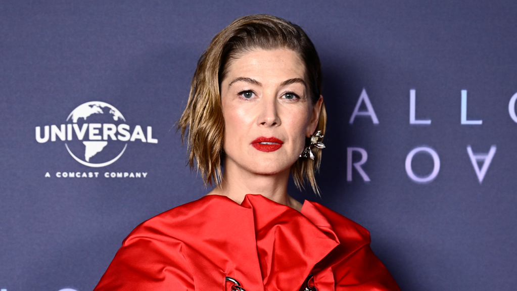 Rosamund Pike Recalls Getting Mugged and Punched in the Face for Her Phone
