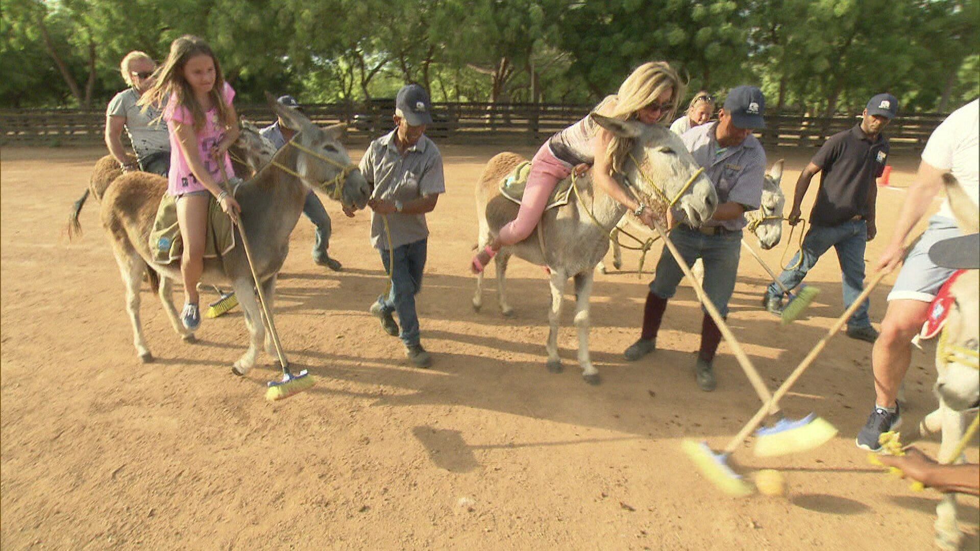 Die neue Lieblingssportart: "Donkey-Polo"