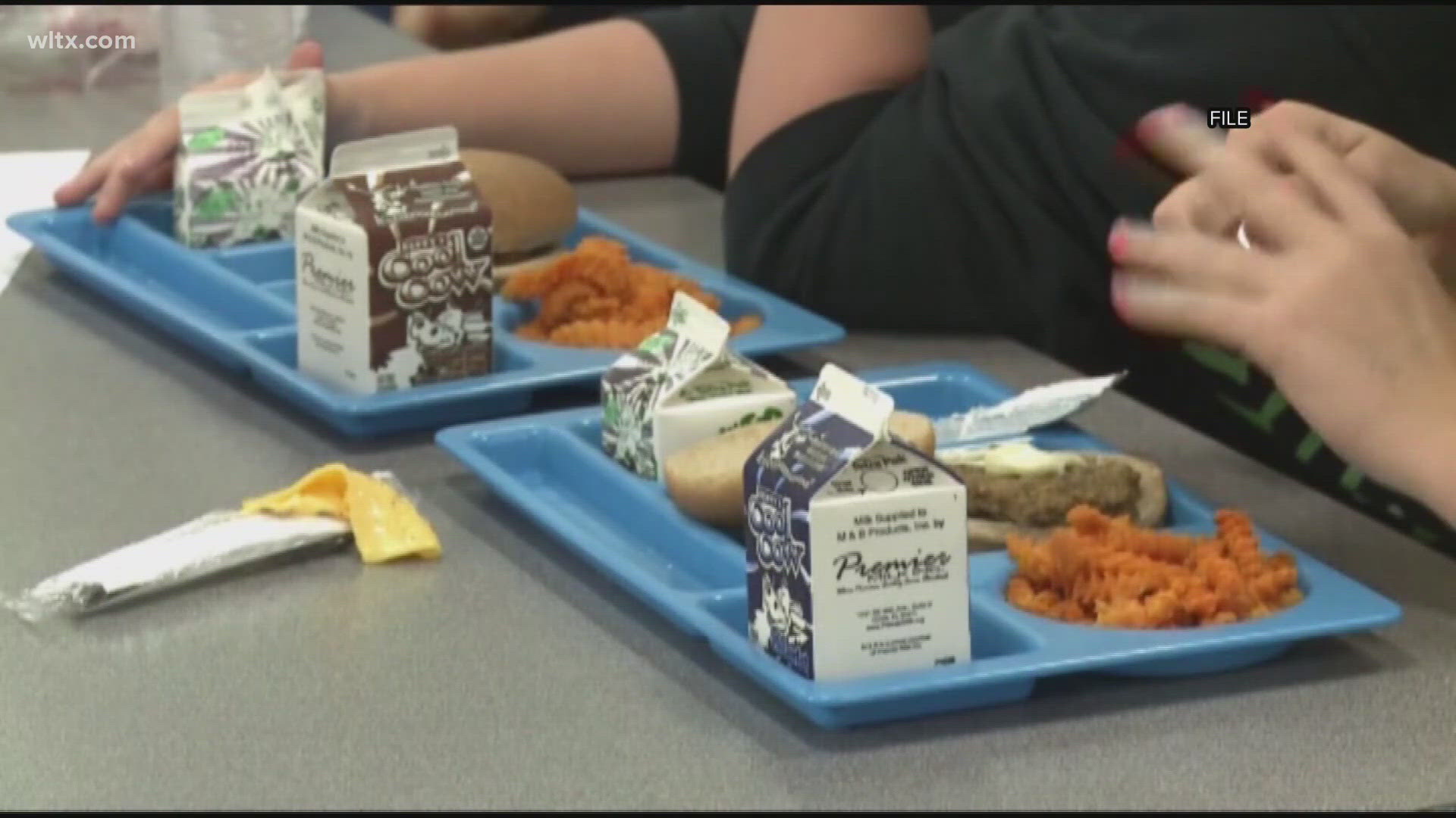 New South Carolina law bans school lunch shaming, expands free meal ...