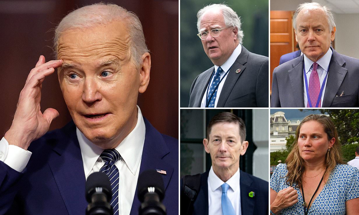 The Biden shadow handlers who were REALLY running the White House ...