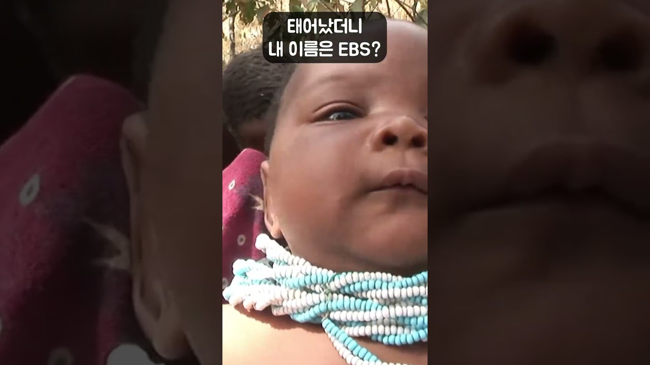 태어났더니 내 이름은 EBS- #골라듄다큐 #shorts