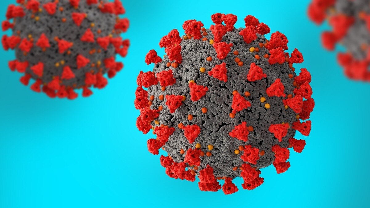 India sees rise in Covid-19 cases: What are NB.1.8.1 and LF.7 Variants?
