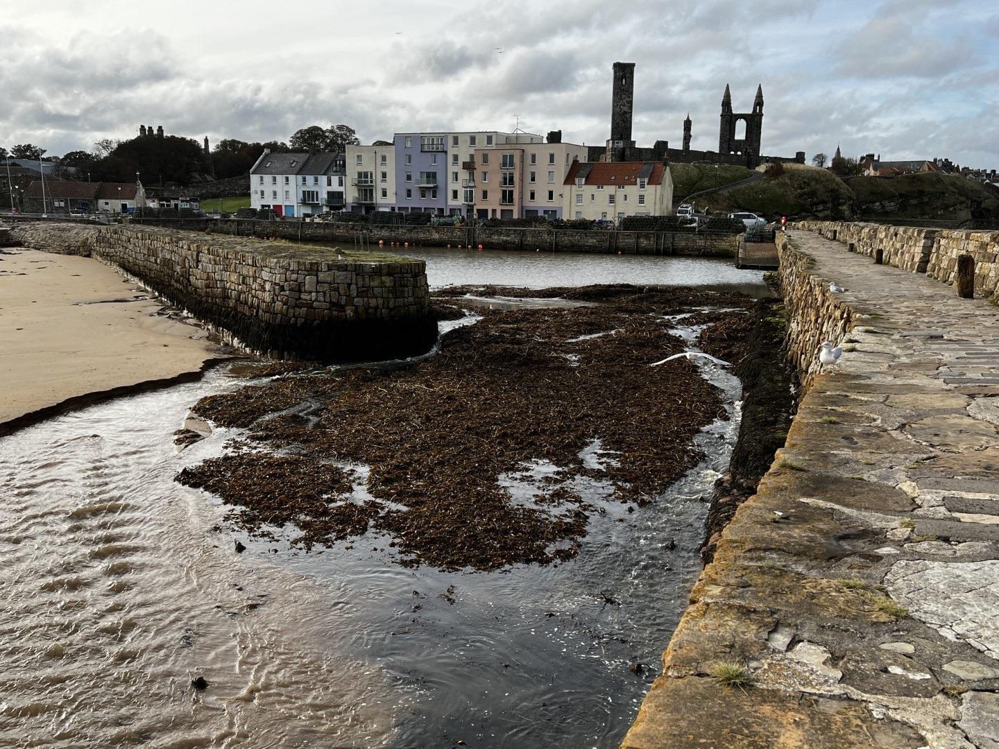 The 10 most expensive Scottish seaside towns and villages to live in ...