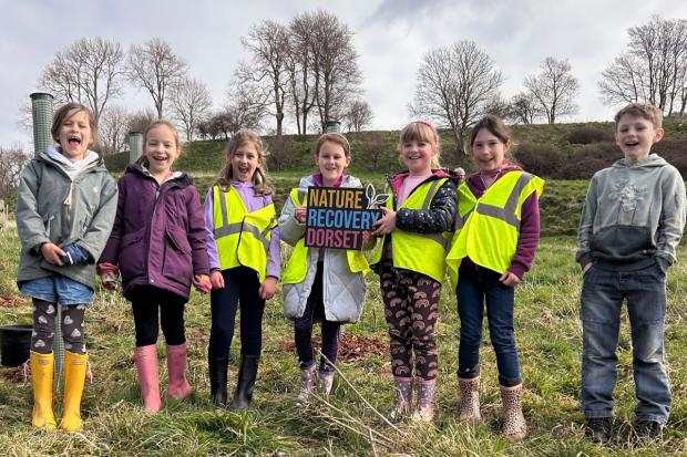 Dorset Council unveils ambitious plan to reverse environmental decline