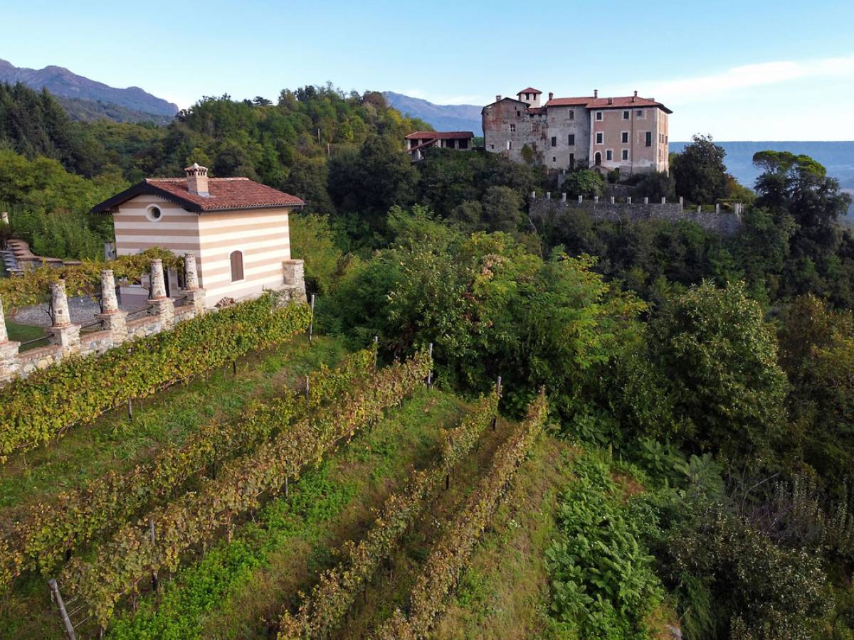 Erbaluce di Caluso, la luce dell’alba