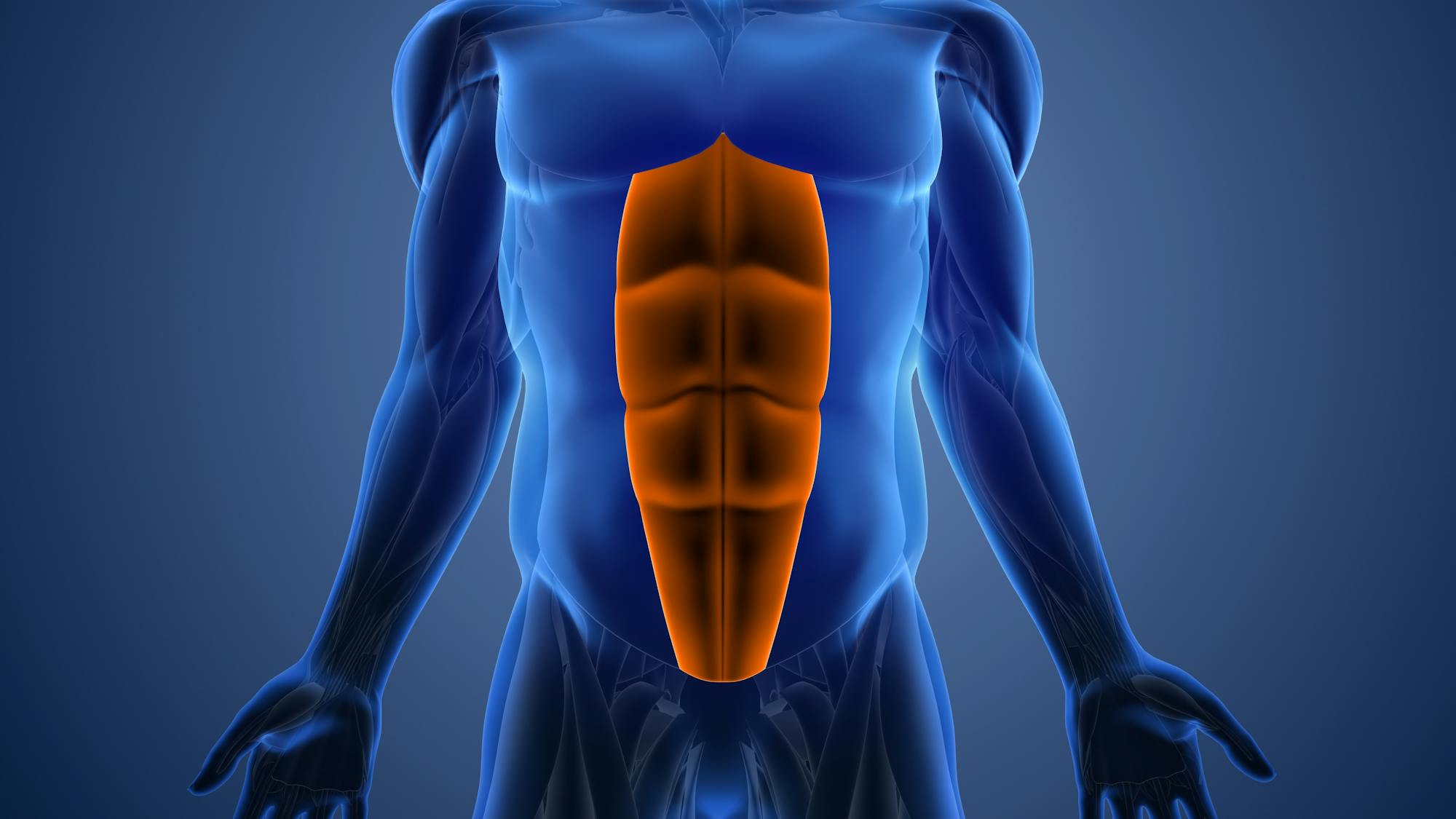 What’s the difference between abs and core? One term focuses on ...