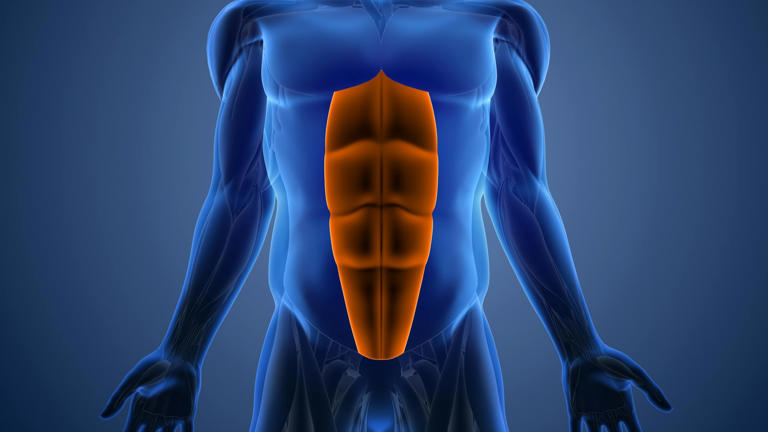 What’s the difference between abs and core? One term focuses on ...