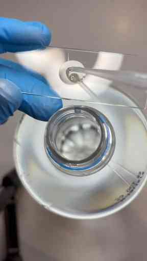 Exploring Bottled Water Under a Microscope