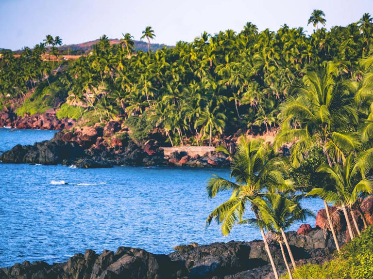 Top 5 Scenic Road Trips Near Goa City To Take During Monsoon