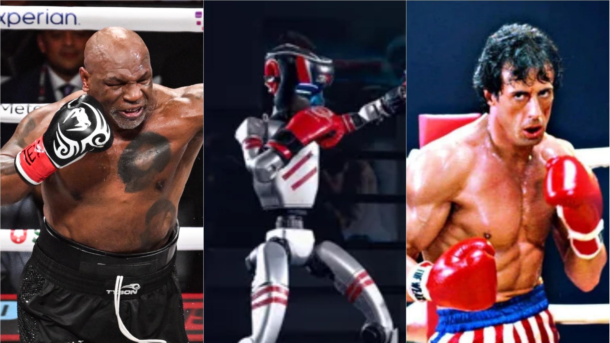 Da Cassius Clay ai pugili robot, passando per il ritorno sul Ring di ...