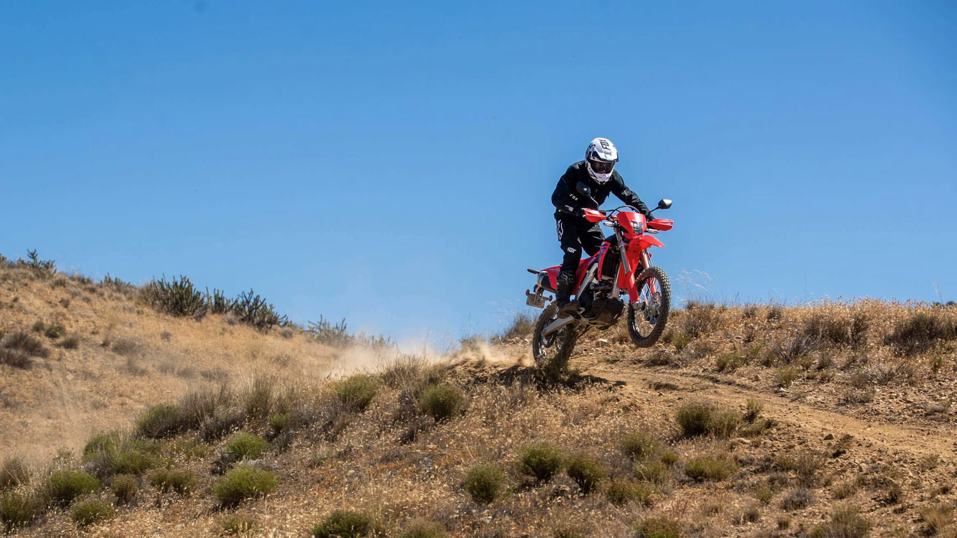 10 Dual-Sport Bikes That Balance Power And Practicality