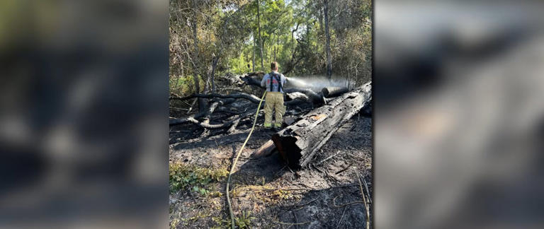 Chiefland firefighters put out burn pile, no homes damaged