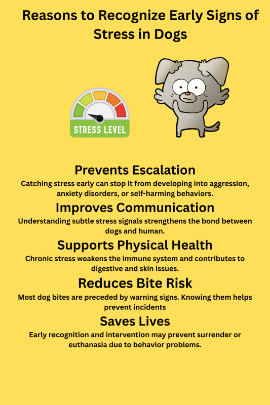 7 Subtle Body Language Signs That Your Dog Is Stressed