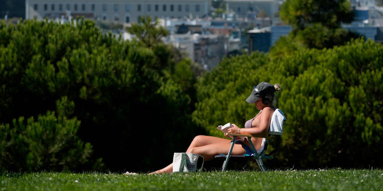 Stardew Valley: Slime Hutch Complete Guide