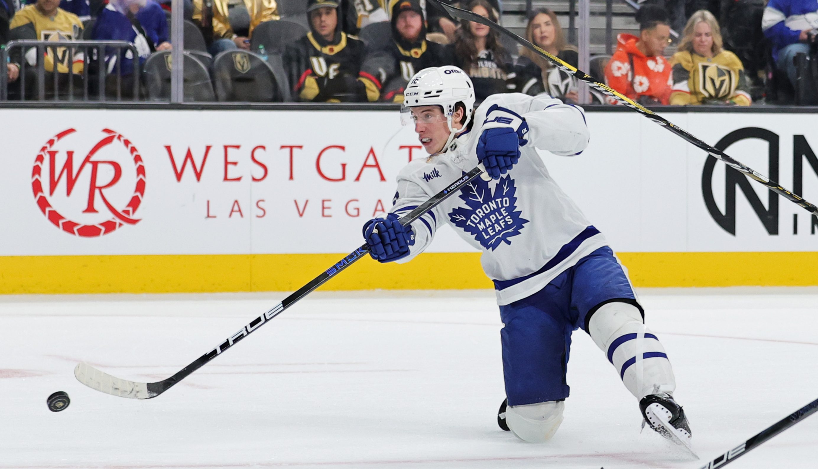 Ducks Projected as Top Landing Spot for Maple Leafs Star