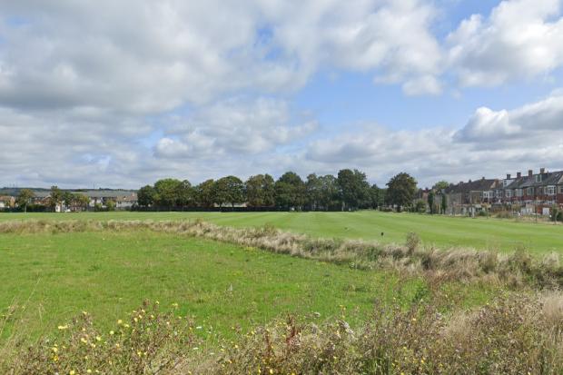 Cockapoo killed after attack from 'XL-Bully type' dog