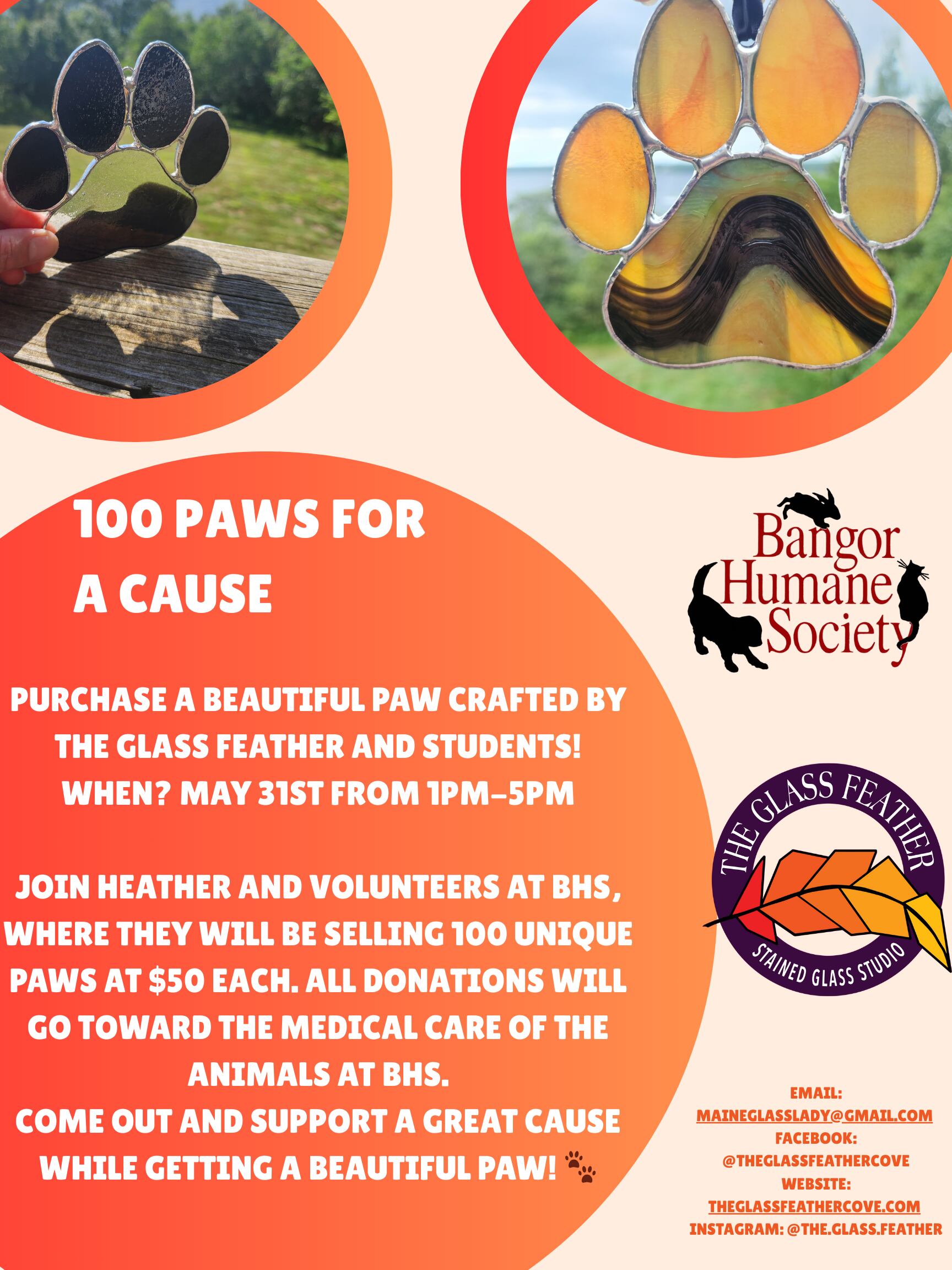 100 Paws for a Cause