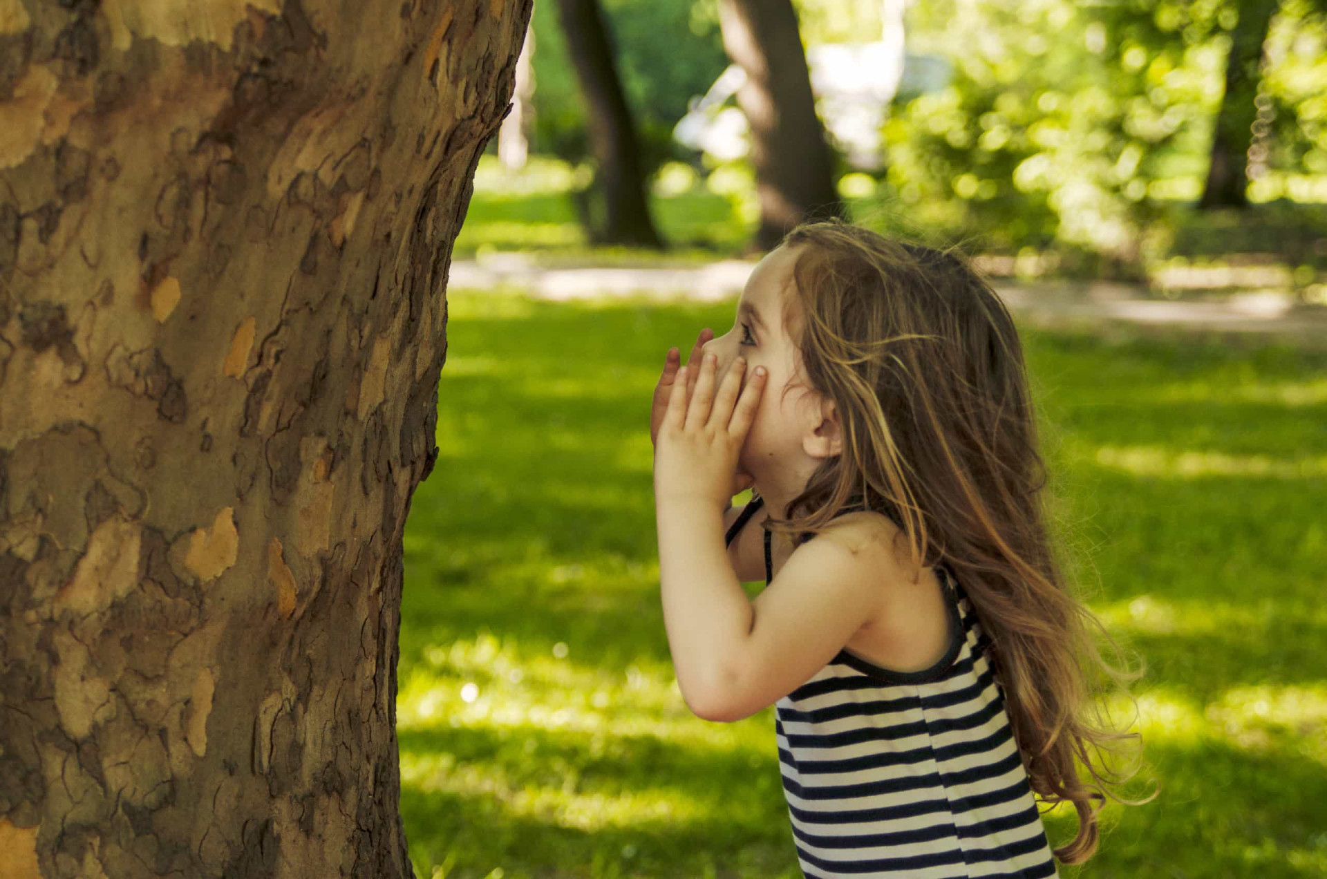 Do plants and trees have consciousness?