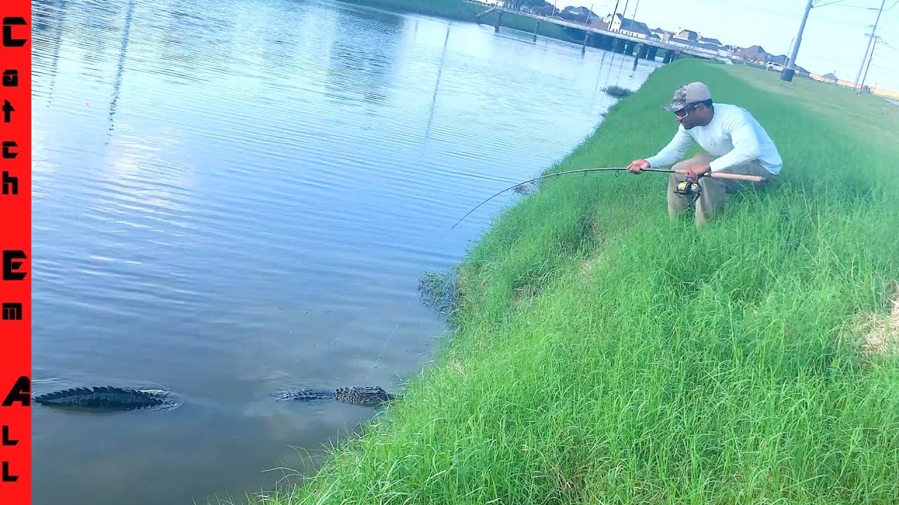 Fishing Trip Turns Into Alligator Encounter