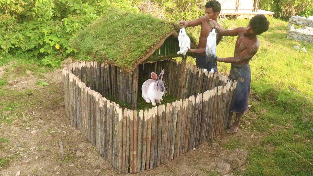 Building a Cozy Rabbit House With Wood and Mud!