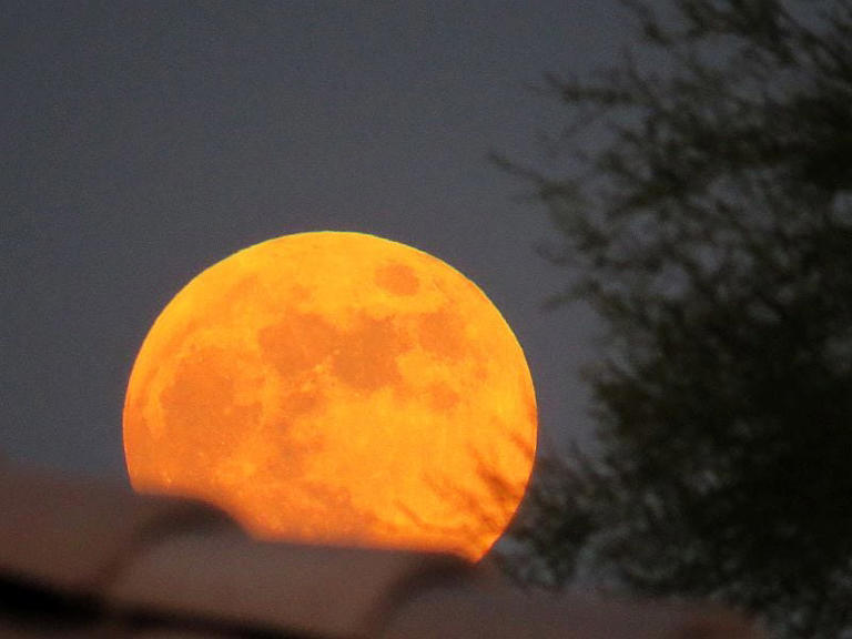 July full moon: When does the 'Buck Moon' rise this month? What to know ...
