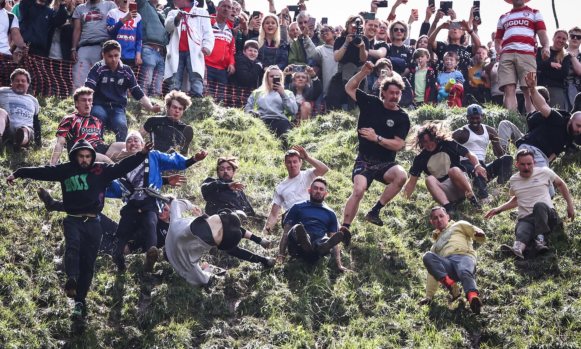 Watch live as daredevil cheese rollers chase Double Gloucester wheel ...