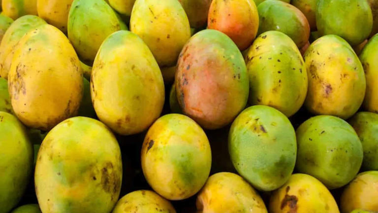 Expensive Varieties Of Indian Mangoes You Must Know About