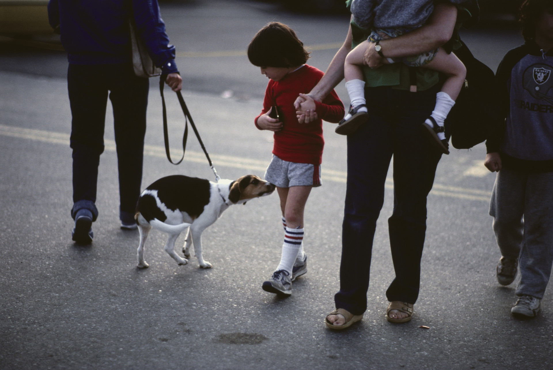 Why are some people afraid of animals?