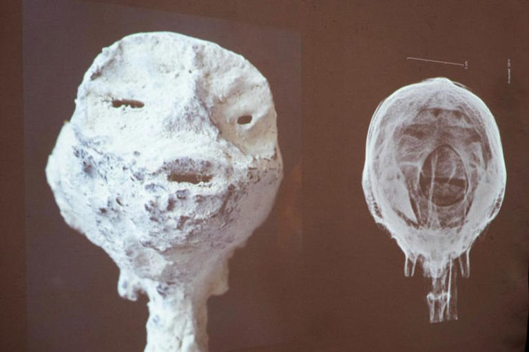 One of the 'alien' mummies from Peru was pregnant and 'scans can see ...