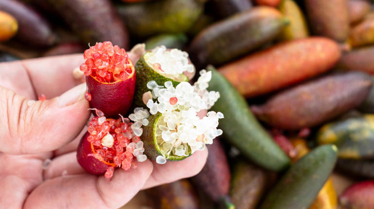 10 Types Of Lime, Explained