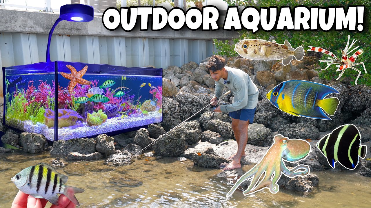 I caught the most amazing exotic fish! 🎣