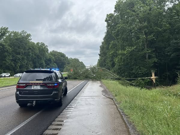 PHOTOS: Storms cause damage across Jackson-metro area