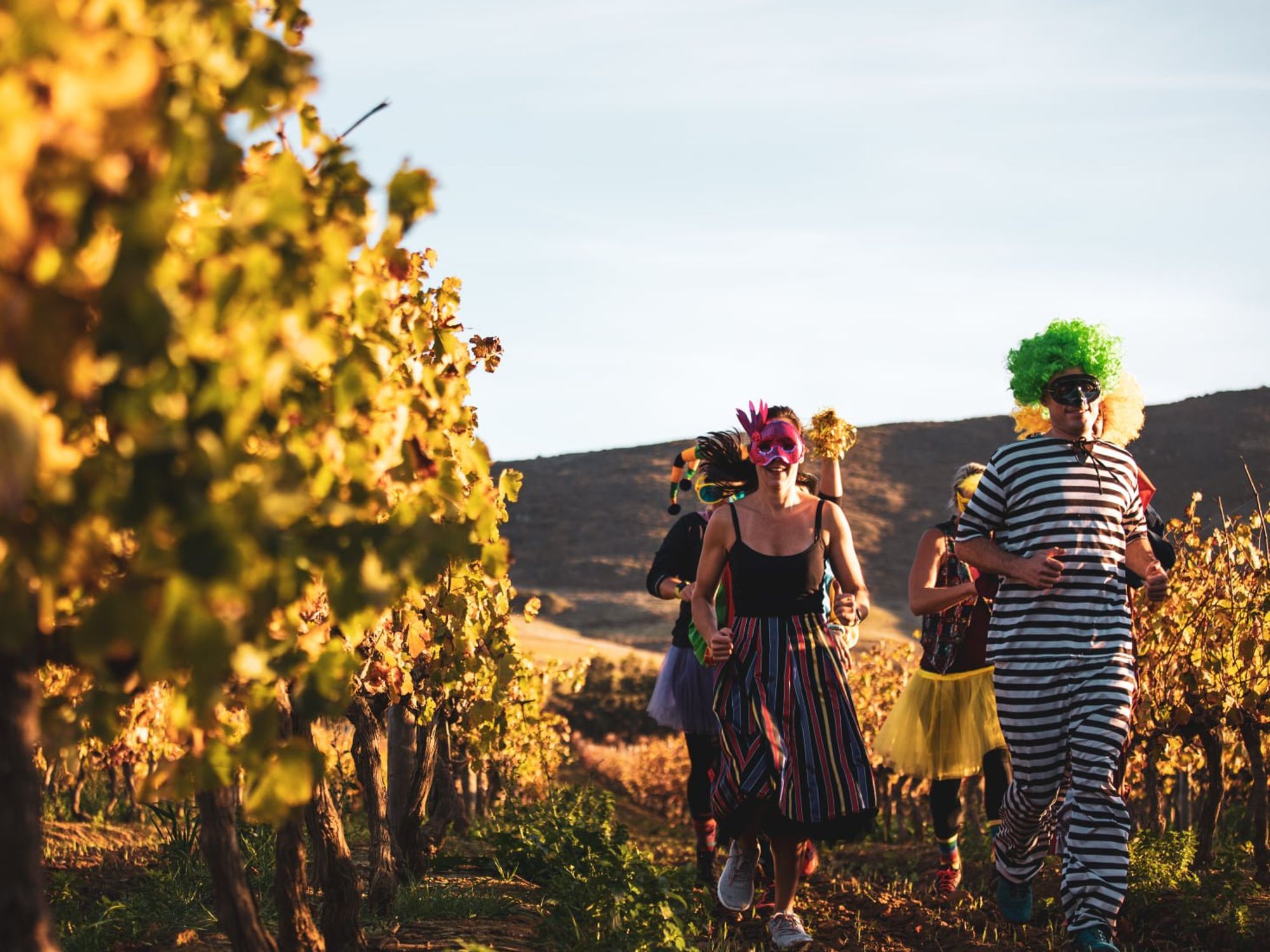 T-Rex Sprint, Cheese Rolling, Wine Marathon: 8 International Races ...
