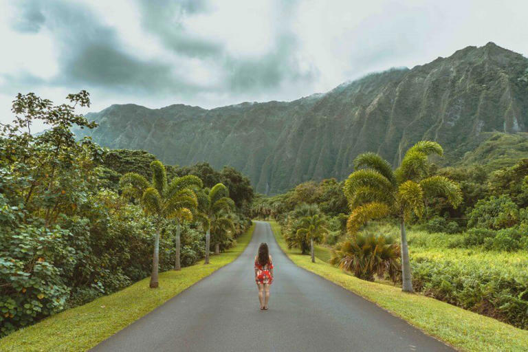 Oahu's Best Hidden Gems: Secret Spots Locals Actually Love (2026)