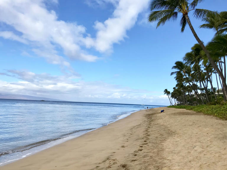 Is Kaanapali actually worth it? (Honest take on West Maui's famous ...