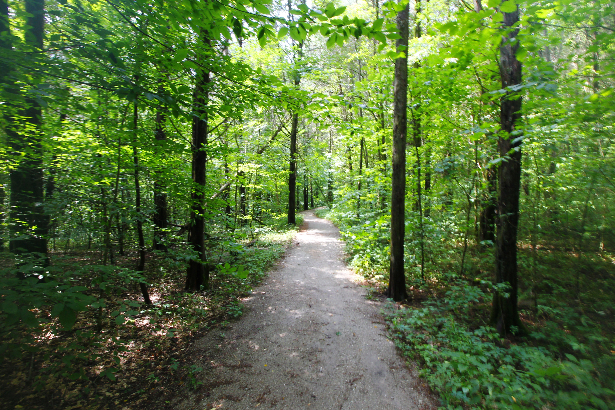 20 U.S. Hidden Gems Off the Beaten Path