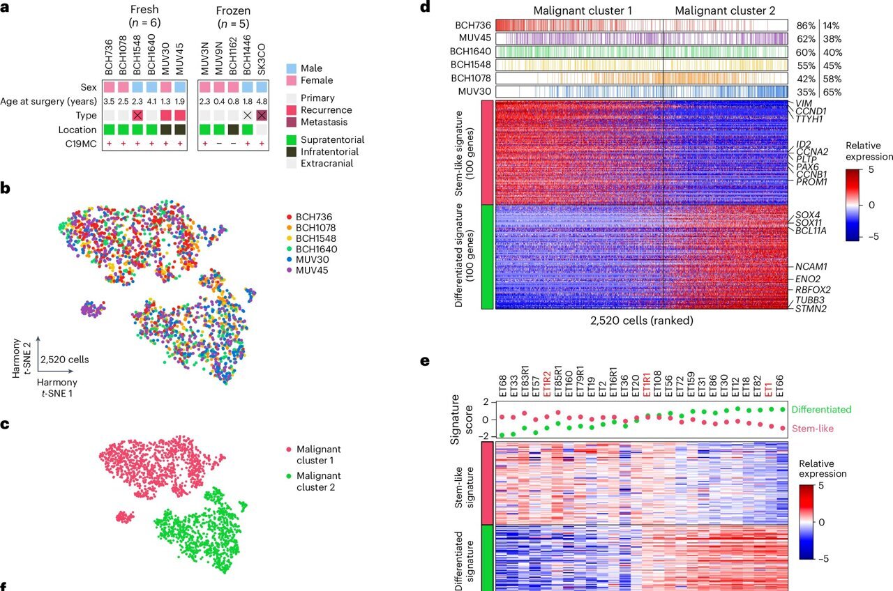 FDA-approved FGFR inhibitors show promise against rare and aggressive pediatric brain tumor