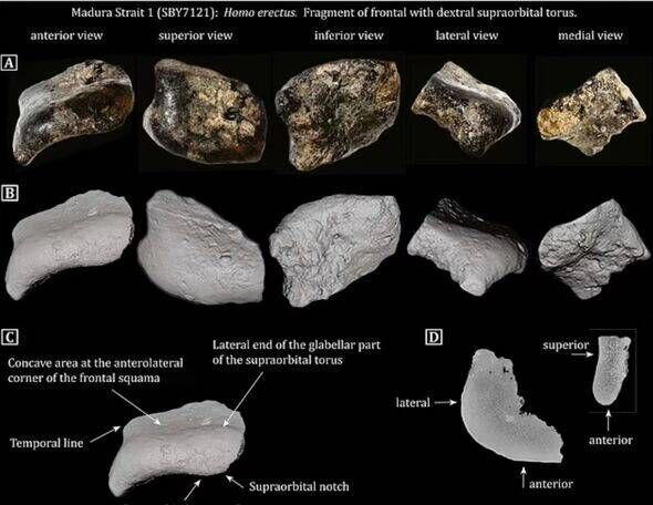 140,000-year-old city found at bottom of ocean in 'first physical ...