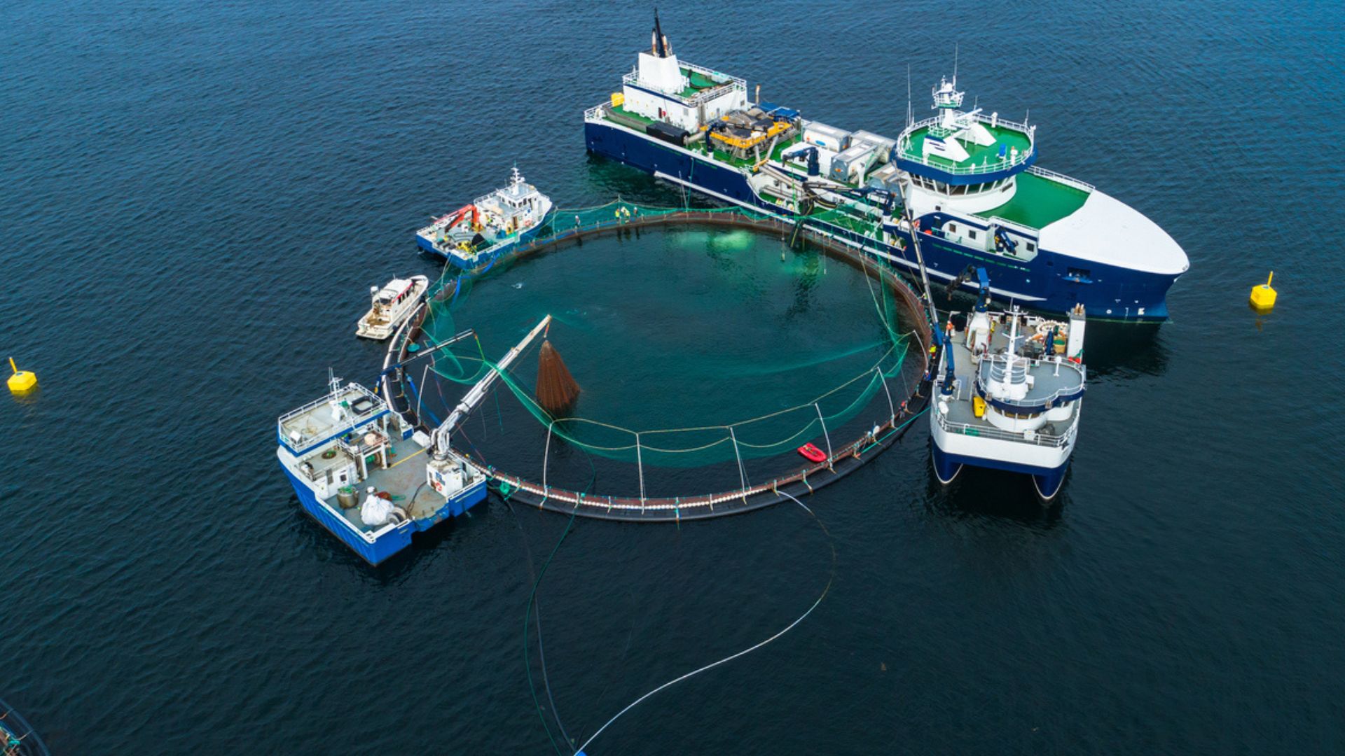 China: World’s first salmon farming ship to raise 8,800 tons of fish yearly