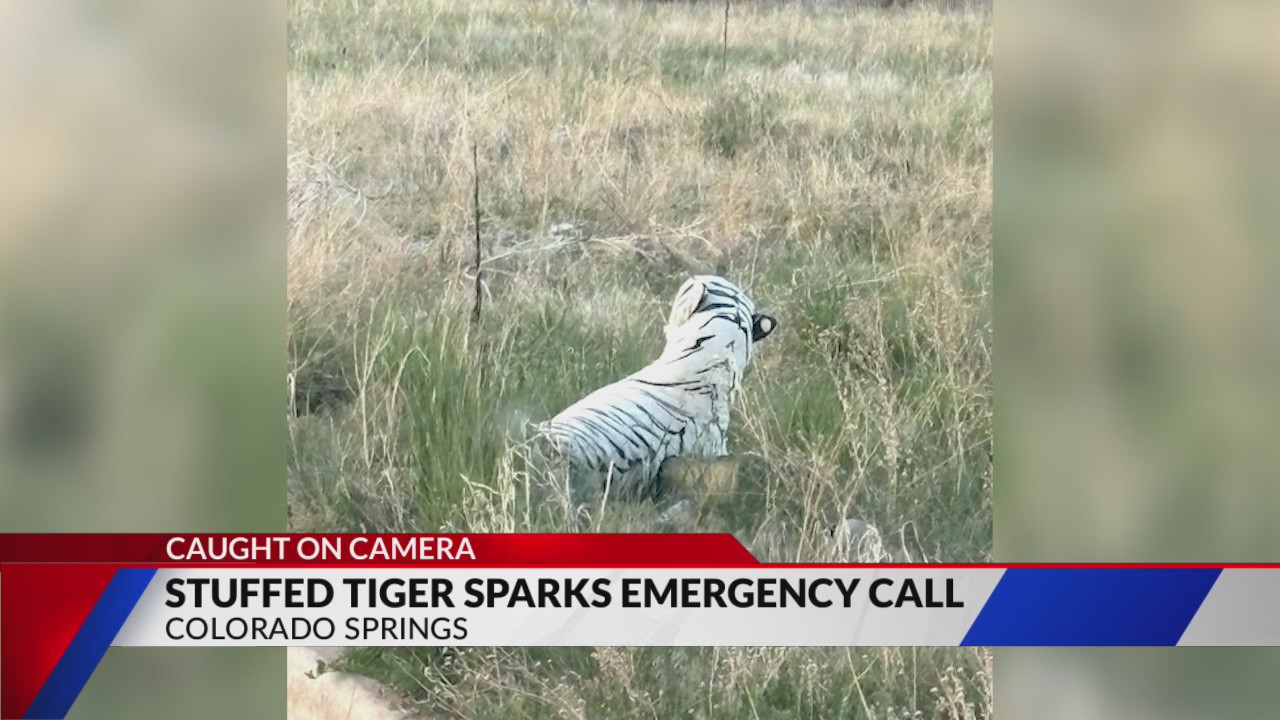 KXRM Colorado Springs - MSN