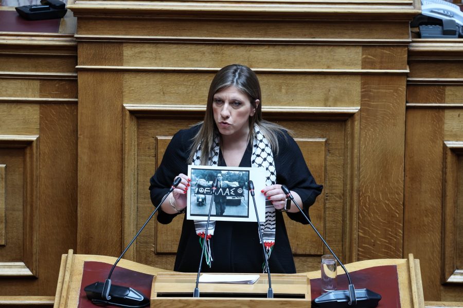 Ζωή Κωνσταντοπούλου: Με παλαιστινιακή καφίγια και φωτογραφία του ...