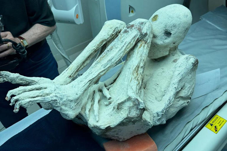 One of the 'alien' mummies from Peru was pregnant and 'scans can see ...