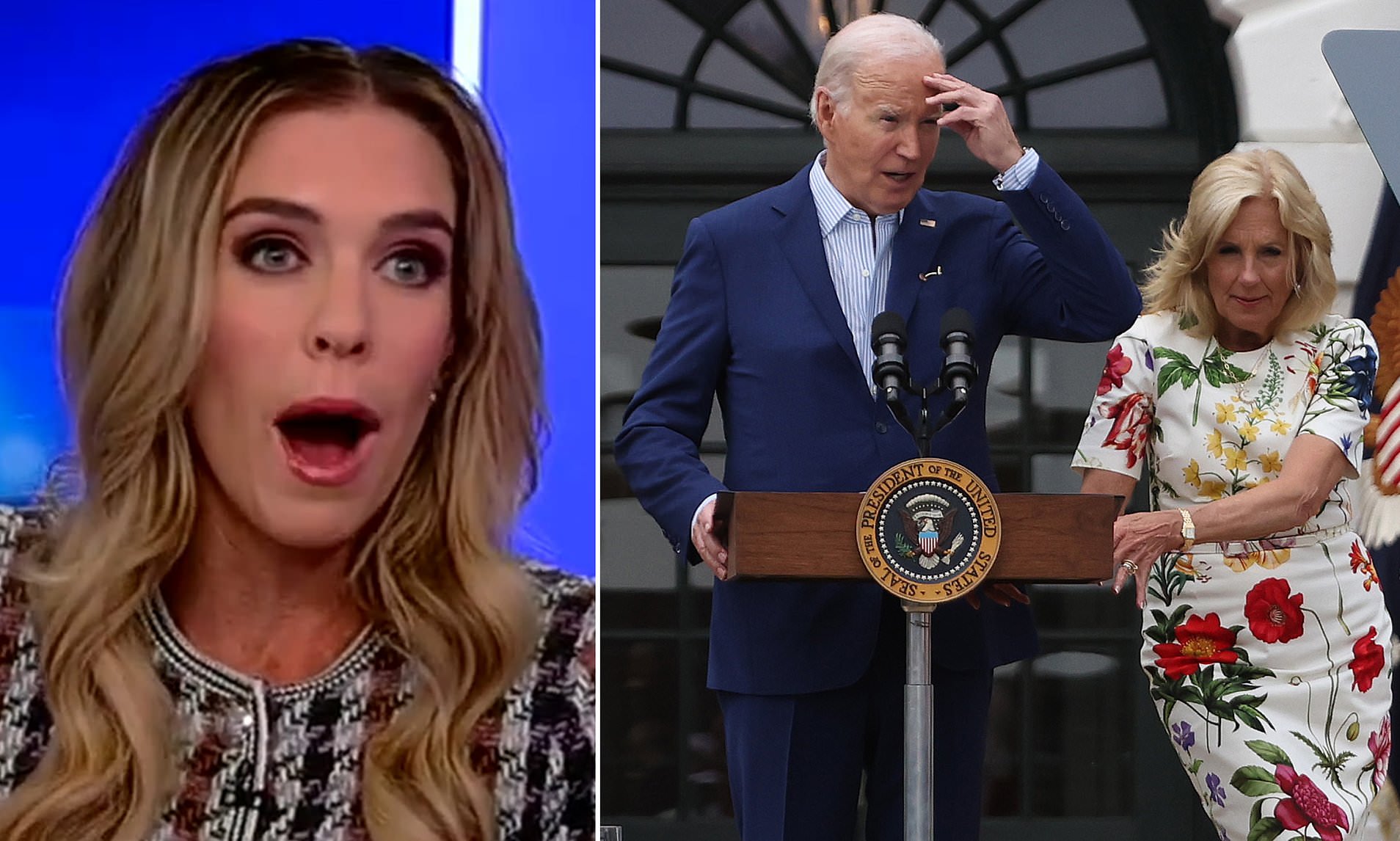 Fox News panelist makes revelation while arguing that Biden could have ...