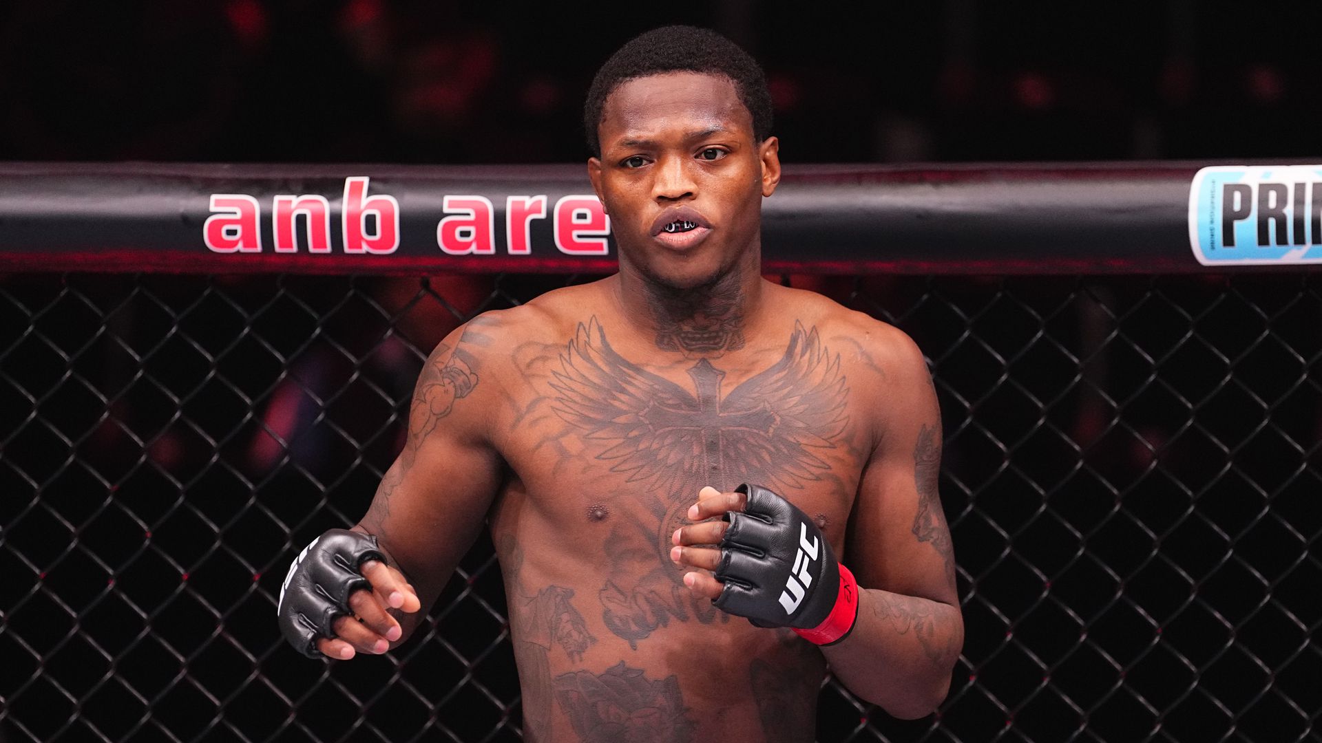 UFC 317: Knockout artist Terrance McKinney books opponent for Ilia ...