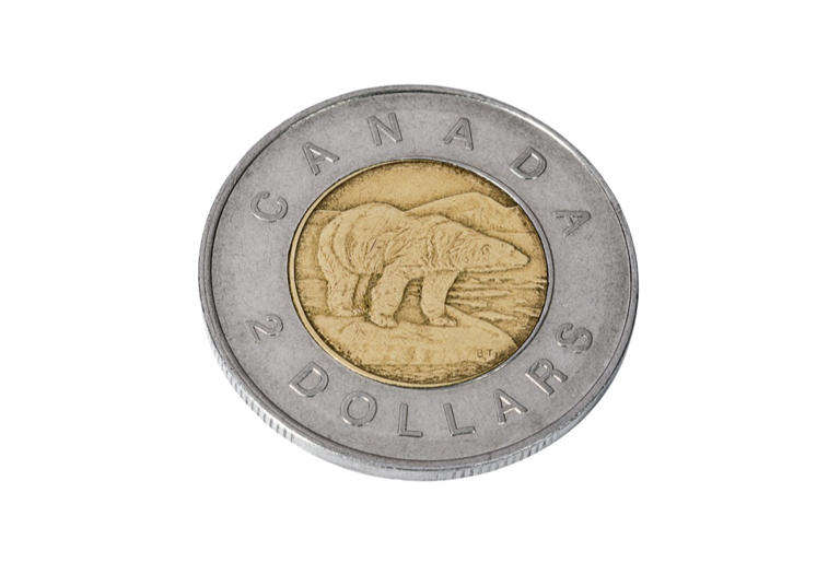 Counterfeit Canadian coins could cause a currency crisis.