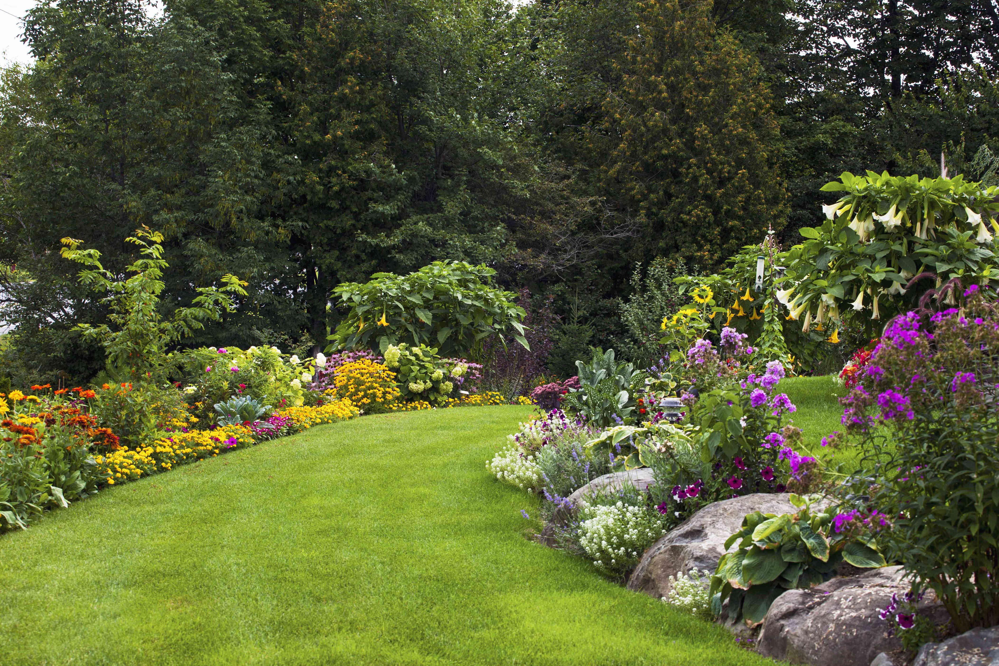 When to stop watering new grass seed for the lush lawn you’ve always wanted