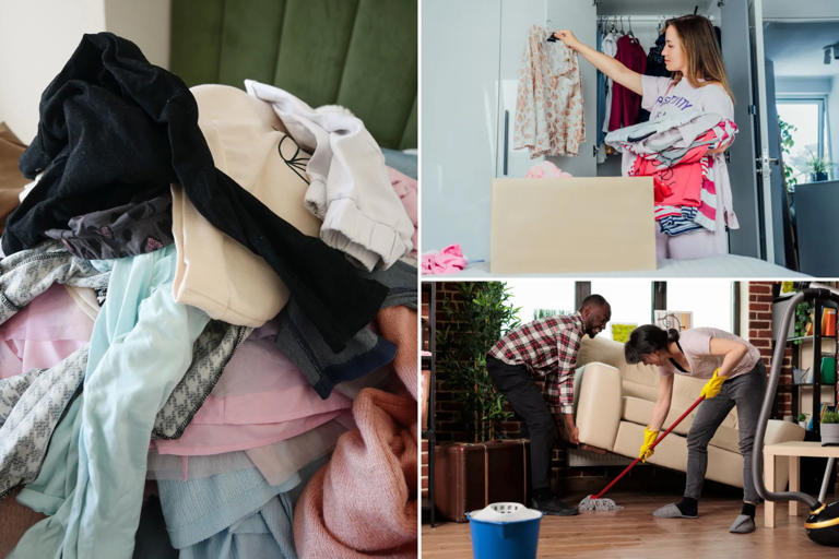 Tired of overwhelming clutter? This bizarre ‘poop rule’ could save you ...