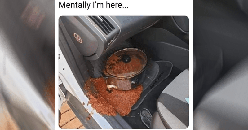 31 Memes of All Stripes